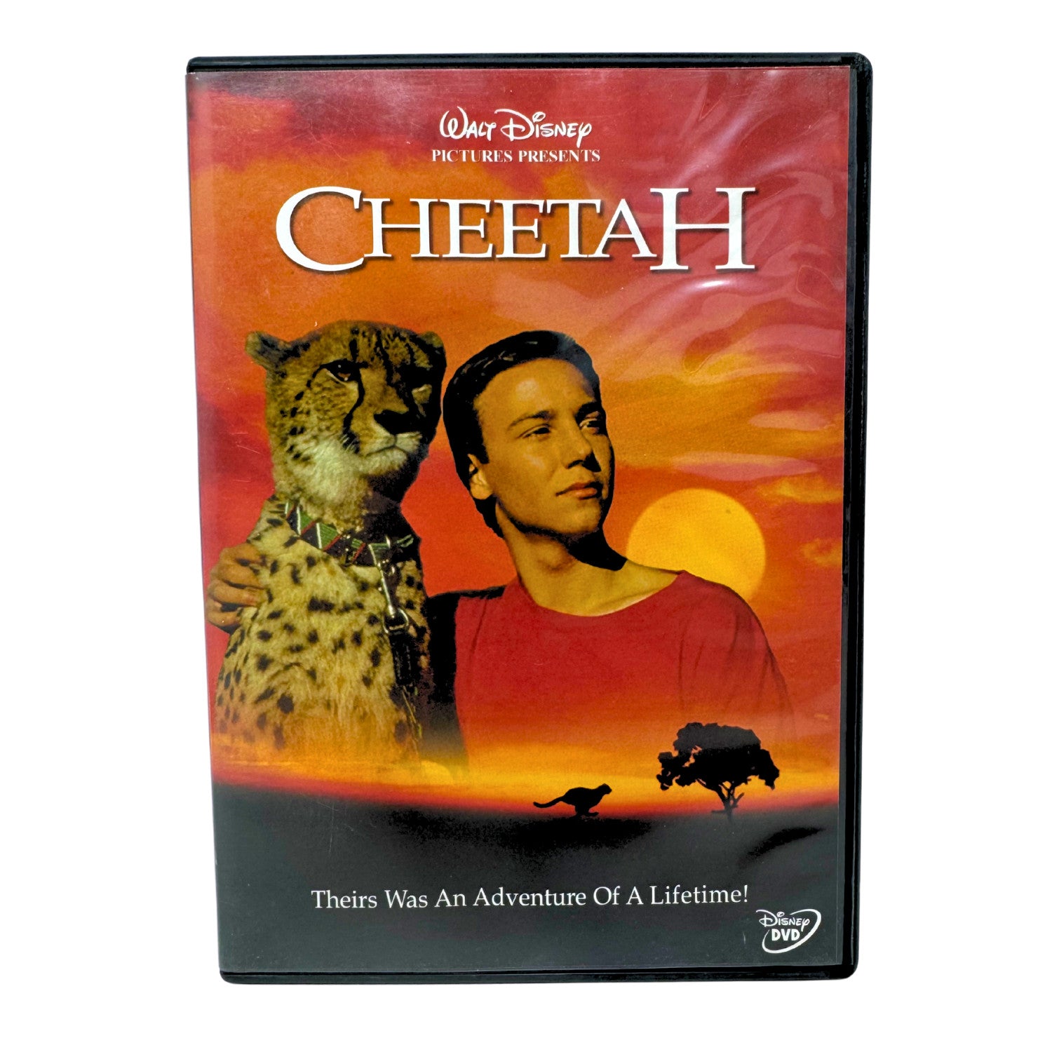 Cheetah (DVD) Disney Good Condition!!! – Wheelers n Dealers A ...